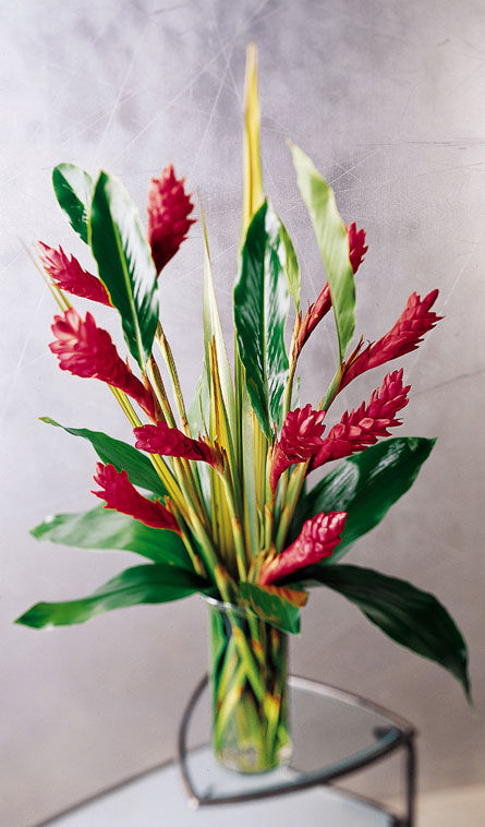 Ginger Bouquet b1816 | Flower Delivery | Flower Shop